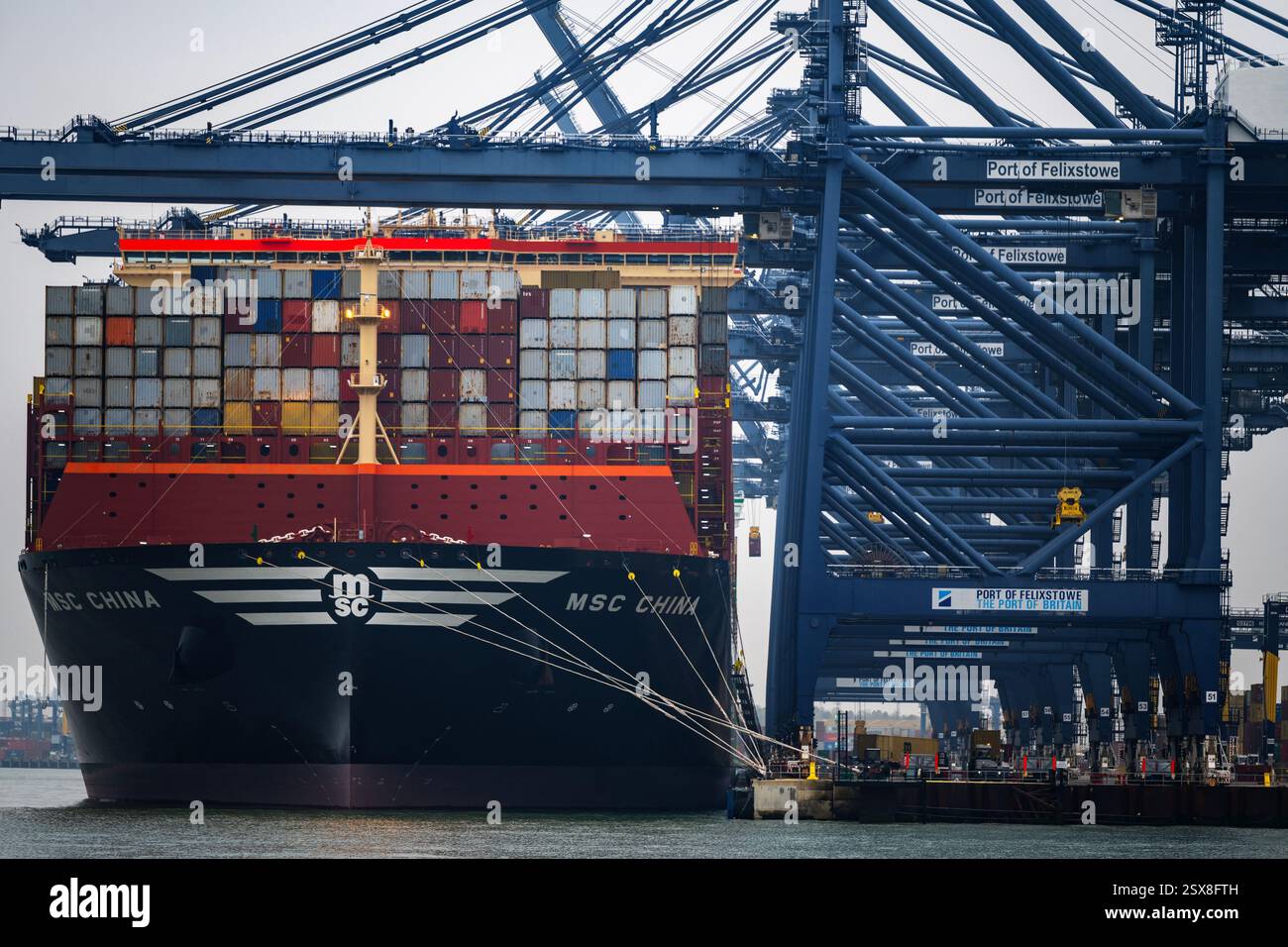 MSC China container ship port of Felixstowe Suffolk UK Stock Photo - Alamy
