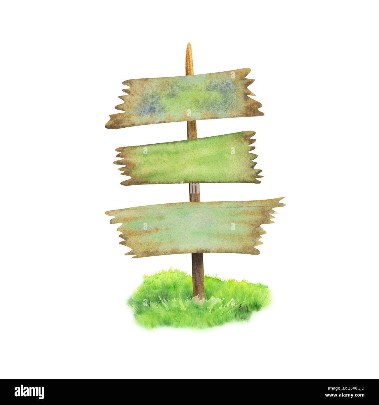 Colourful wooden board sign. Hand drawn watercolor illustration with ...