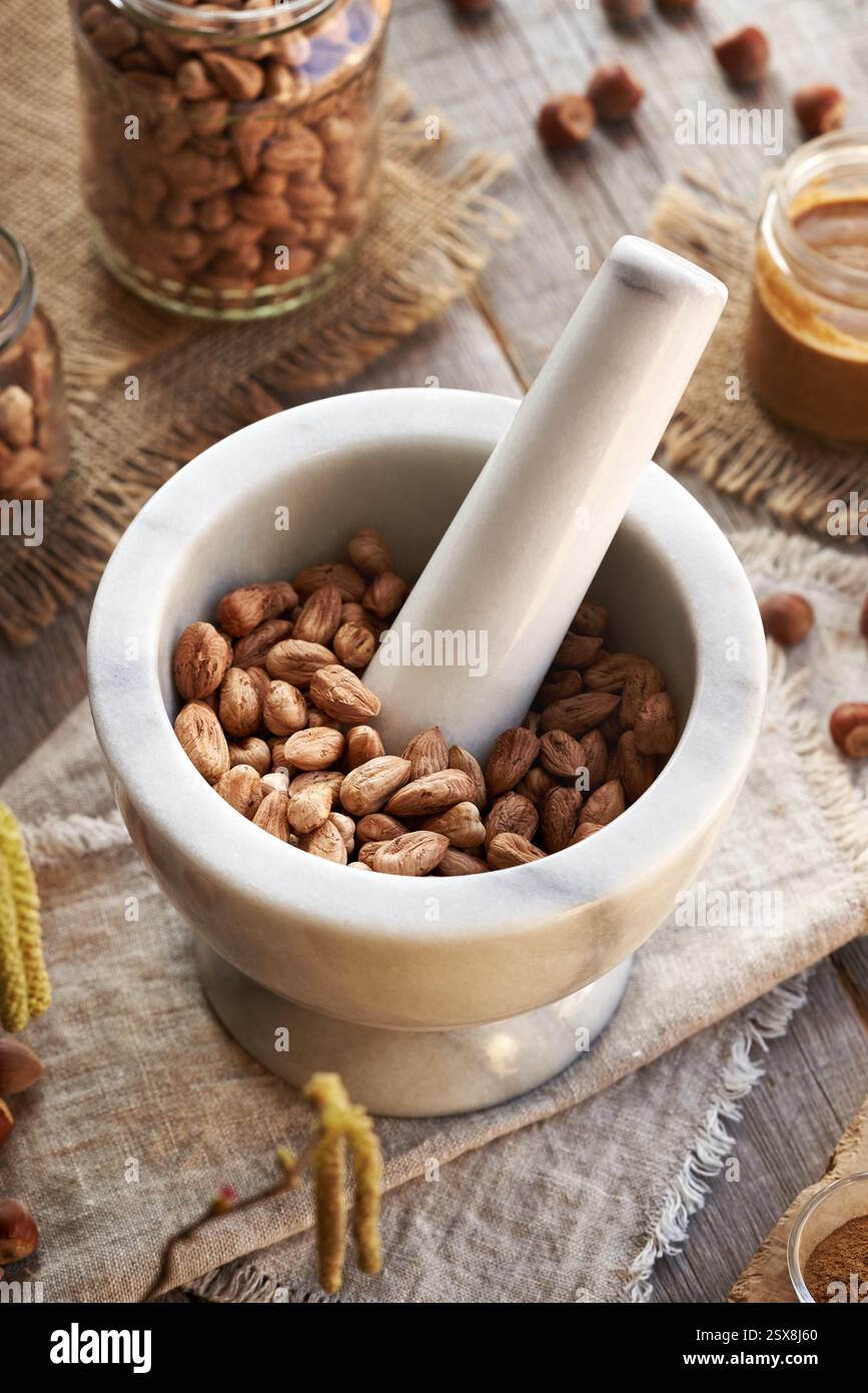 Preparation of homemade nut butter by grinding hazelnuts in a mortar ...