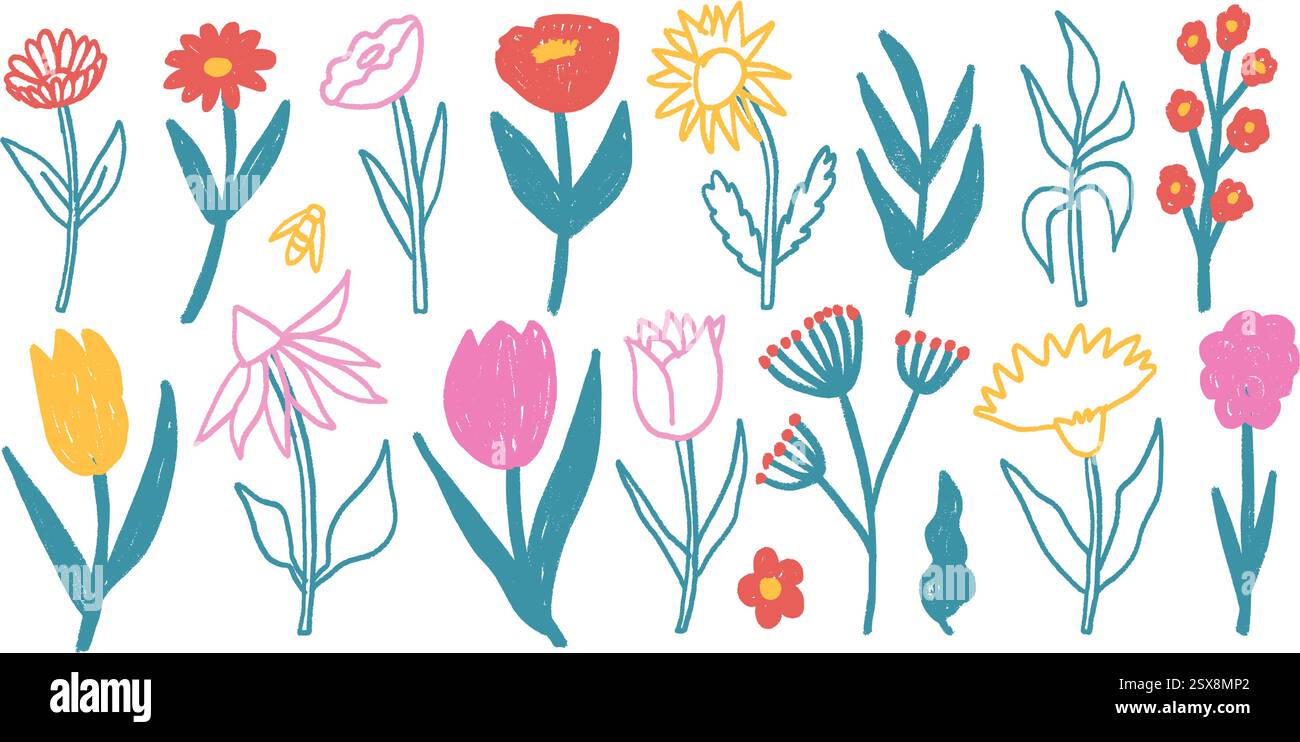 Flowers crayon drawn set. Spring tulip, daisy, aster and marguerite ...