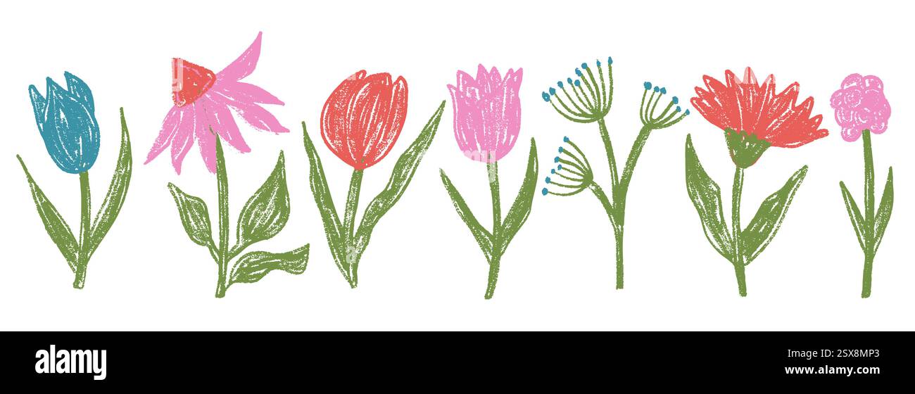 Flowers crayon drawn set. Spring tulip, daisy, aster and marguerite ...