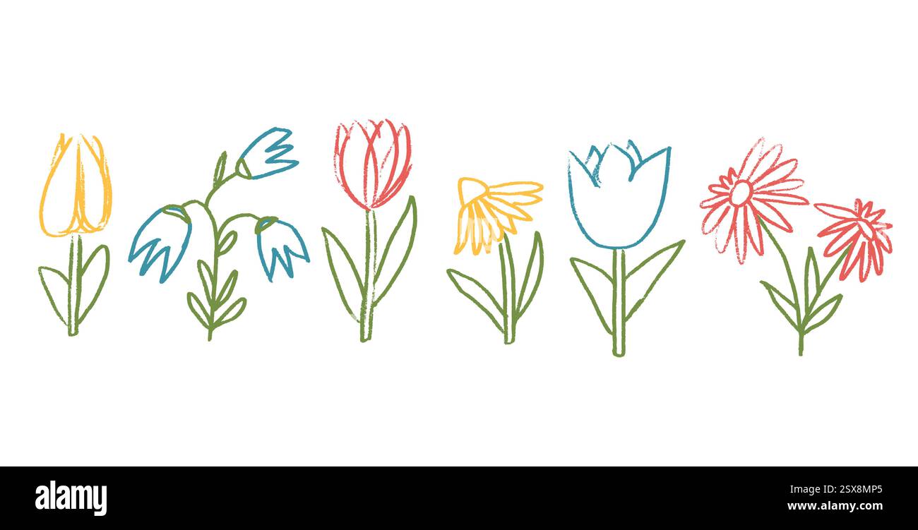 Flowers and leaves crayon drawn set. Spring tulip, bellflower ...