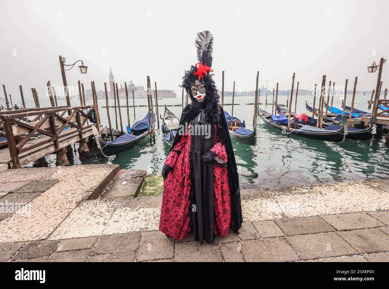 venice Italy 23 February 2025 Carnival goers dressed in splendid ...