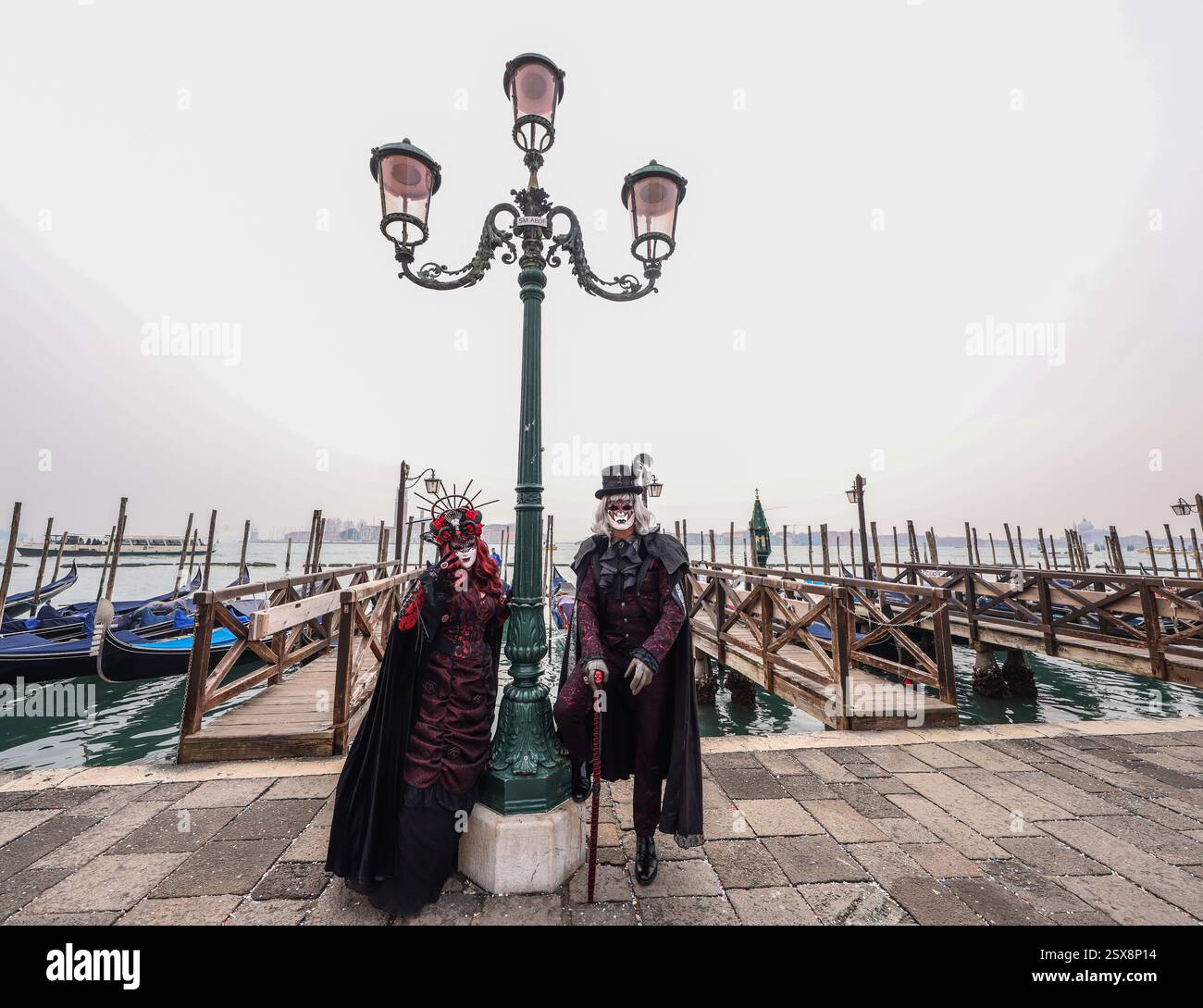venice Italy 23 February 2025 Carnival goers dressed in splendid ...