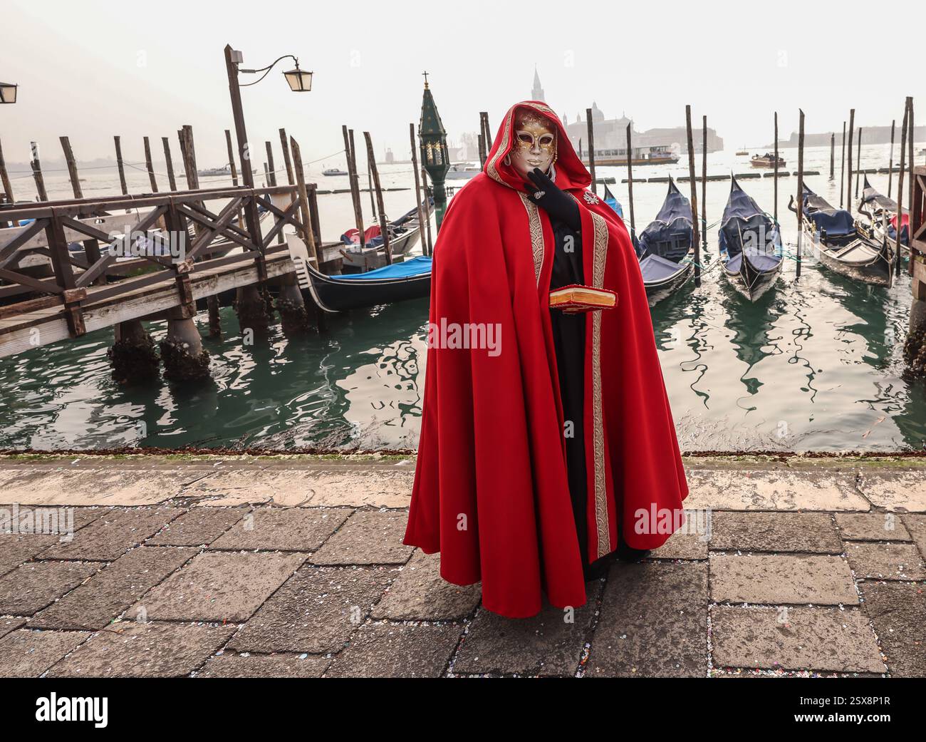 venice Italy 23 February 2025 Carnival goers dressed in splendid ...