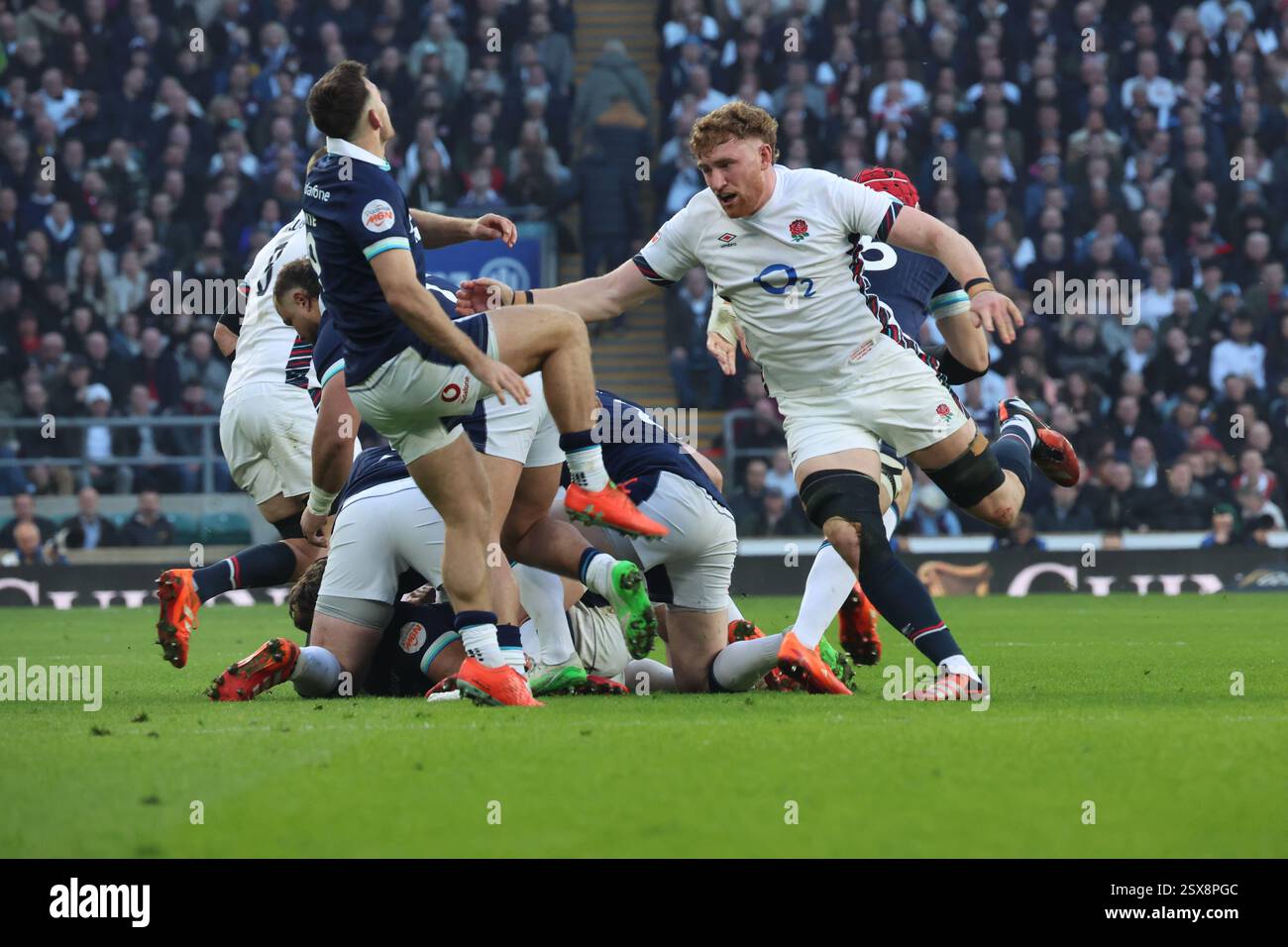 London, UK. 22nd Feb, 2025. England's Ollie Chessum(Leicester Tigers ...
