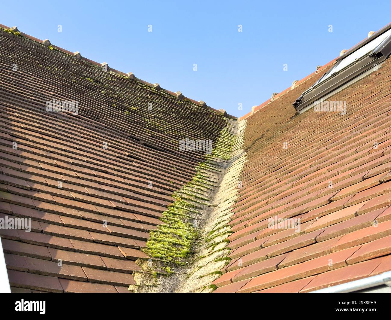 Roof transformation showcasing before and after cleaning under bright ...