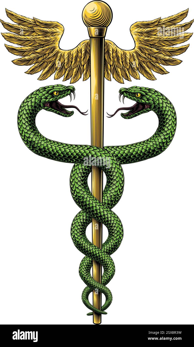 Caduceus Medical Asclepius Rod Doctor Symbol Icon Stock Vector Image ...