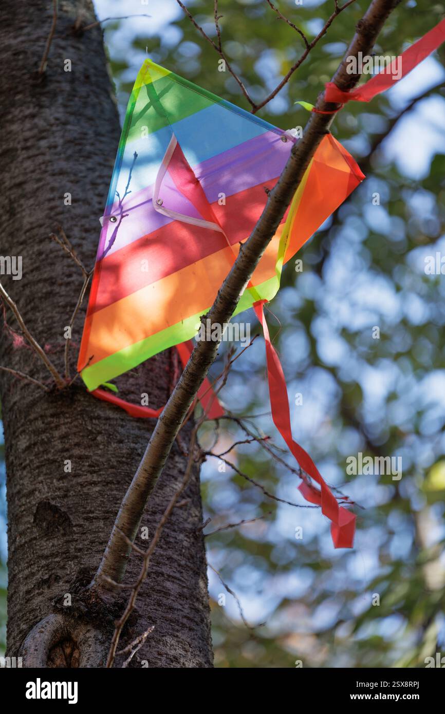 Multicolored kite rests tangled in tree branches, glowing brightly ...