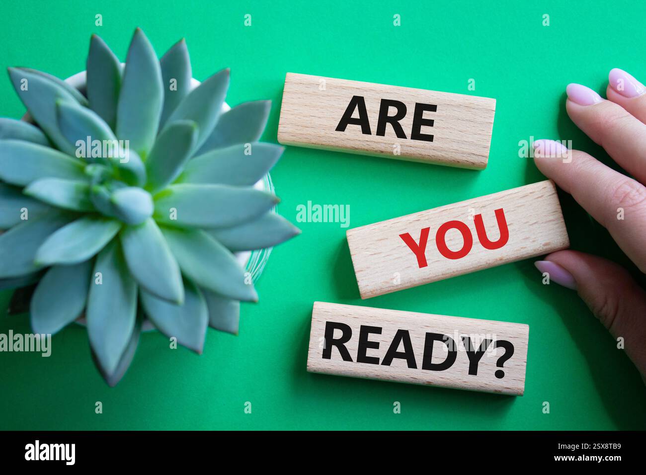 Are you ready symbol. Concept word Are you ready on wooden blocks ...