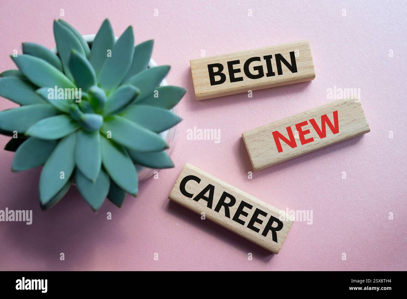 Begin new career symbol. Concept word Begin new career on wooden blocks ...
