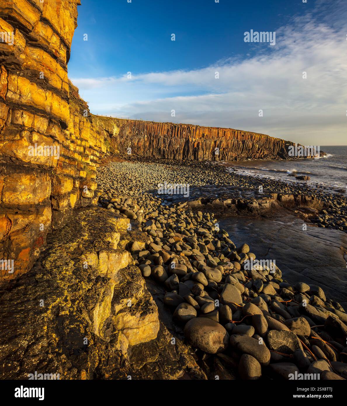 A view at dawn of of Cullernose Point on the Northumberland Coast near ...