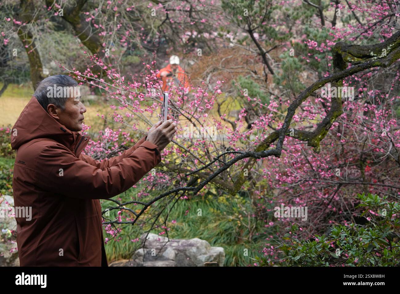 Hangzhou, China's Zhejiang Province. 23rd Feb, 2025. A tourist takes ...