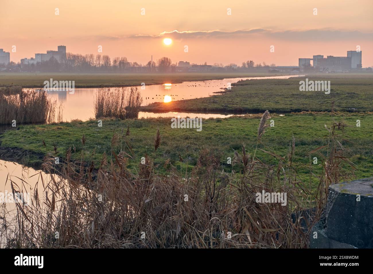 View over the Schaalsmeerpolder towards Wormerveer, featuring the ...
