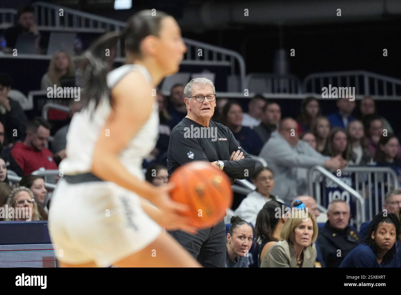 Connecticut head coach Geno Auriemma in action during an NCAA college ...
