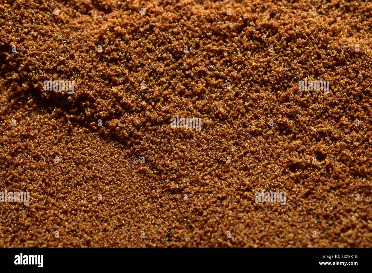 Background and texture pattern of ground chicory lying on a white ...