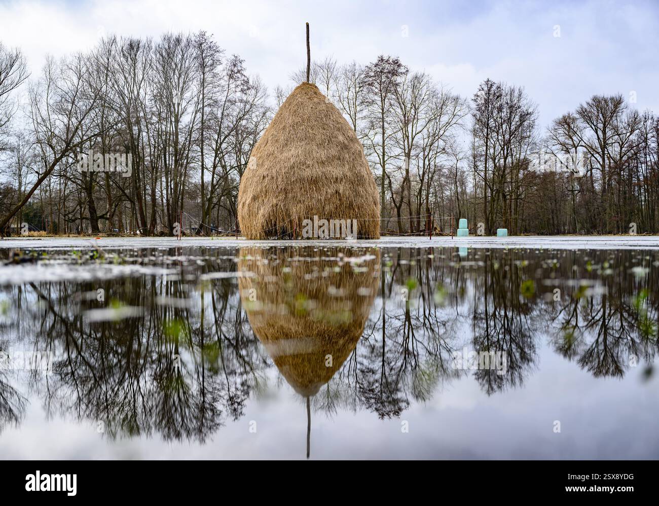 Lehde, Germany. 23rd Feb, 2025. A haystack stands on a meadow flooded ...