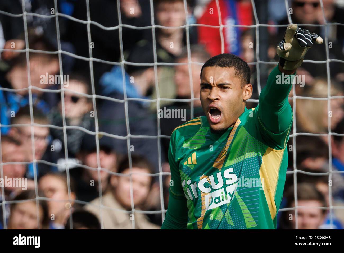Brugge, Belgium. 23rd Feb, 2025. Standard's goalkeeper Gavin Bazunu ...