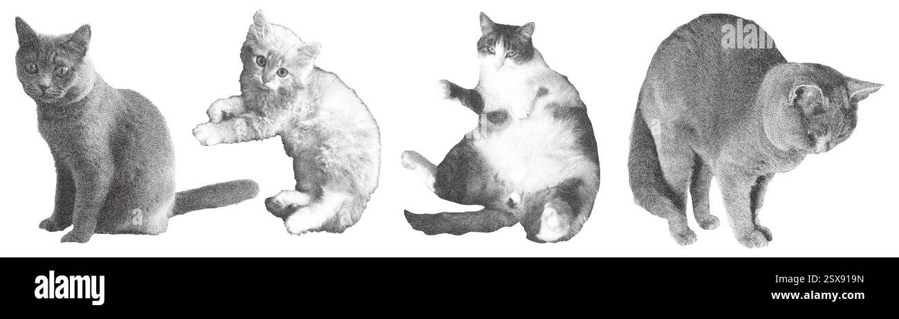 Collage halftone cats in different poses. Photocopy stipple effect Stock Vector Image & Art - Alamy