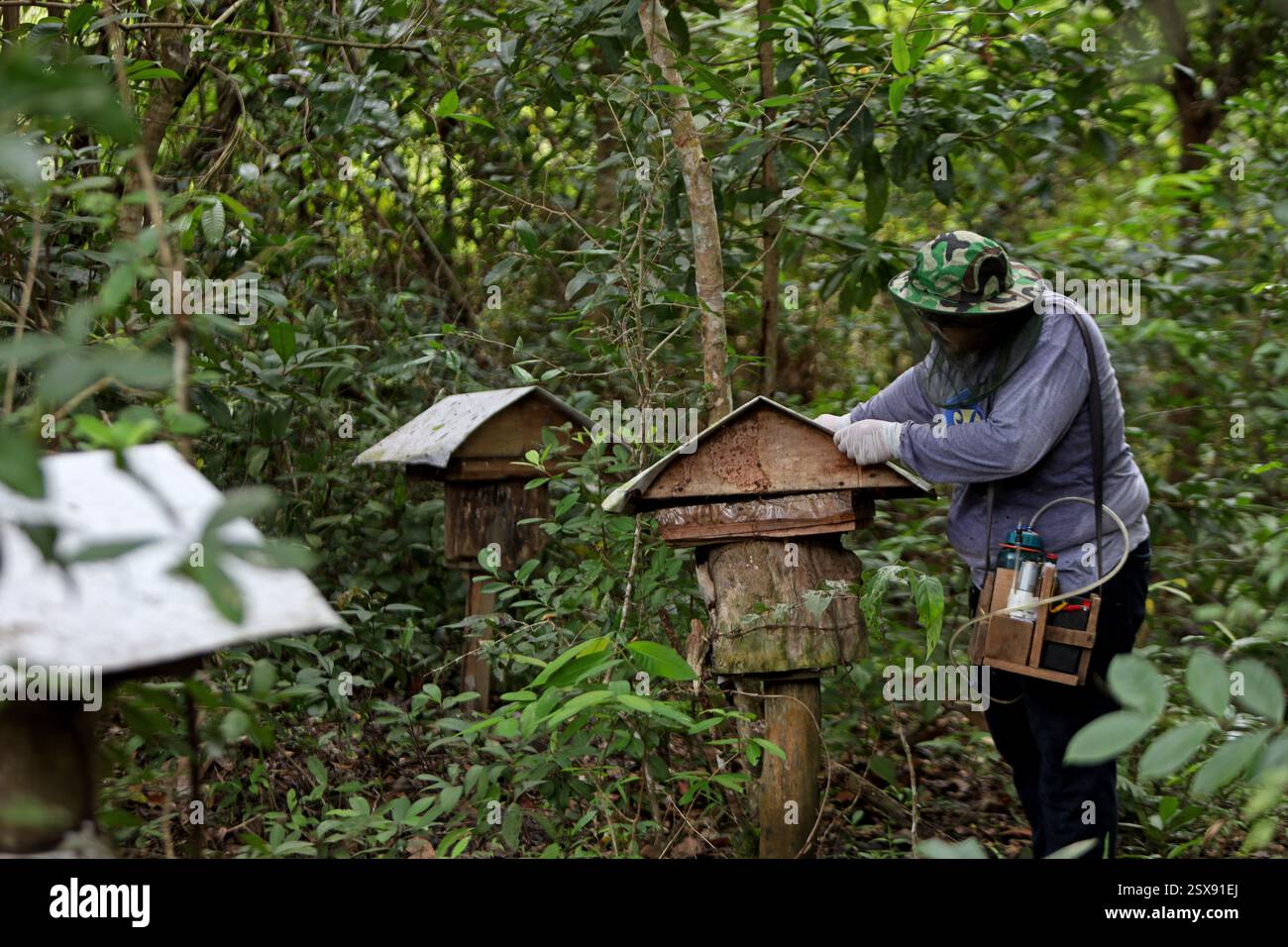 February 23, 2025, Aceh Besar, Aceh, Indonesia: Farmers repair ...