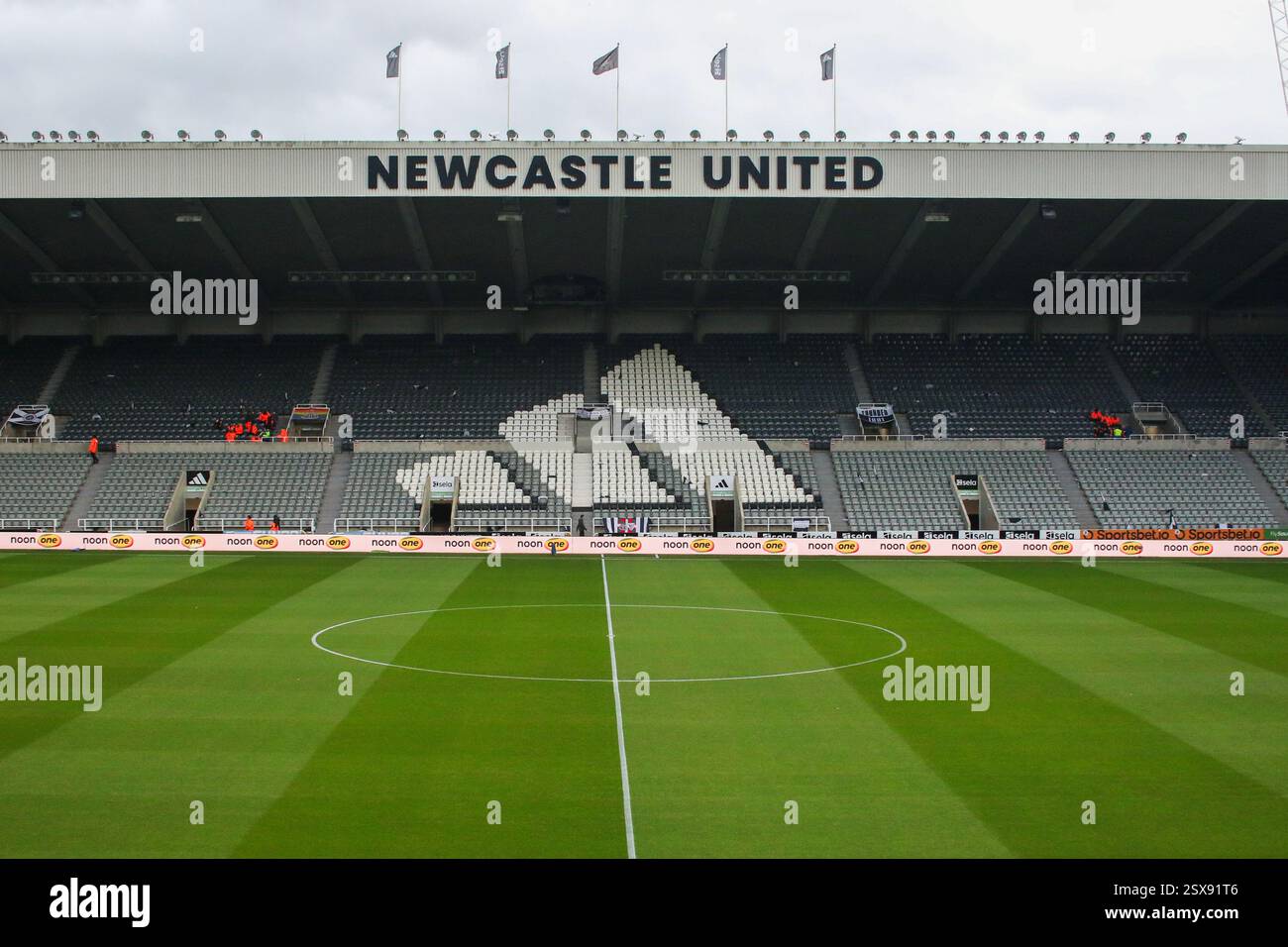 Newcastle, UK. 23rd Feb, 2025. Ground View inside the Stadium at St ...