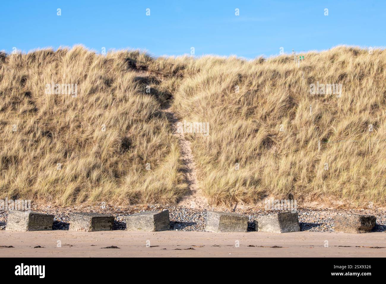 Tank traps on Northumberland beach Stock Photo - Alamy