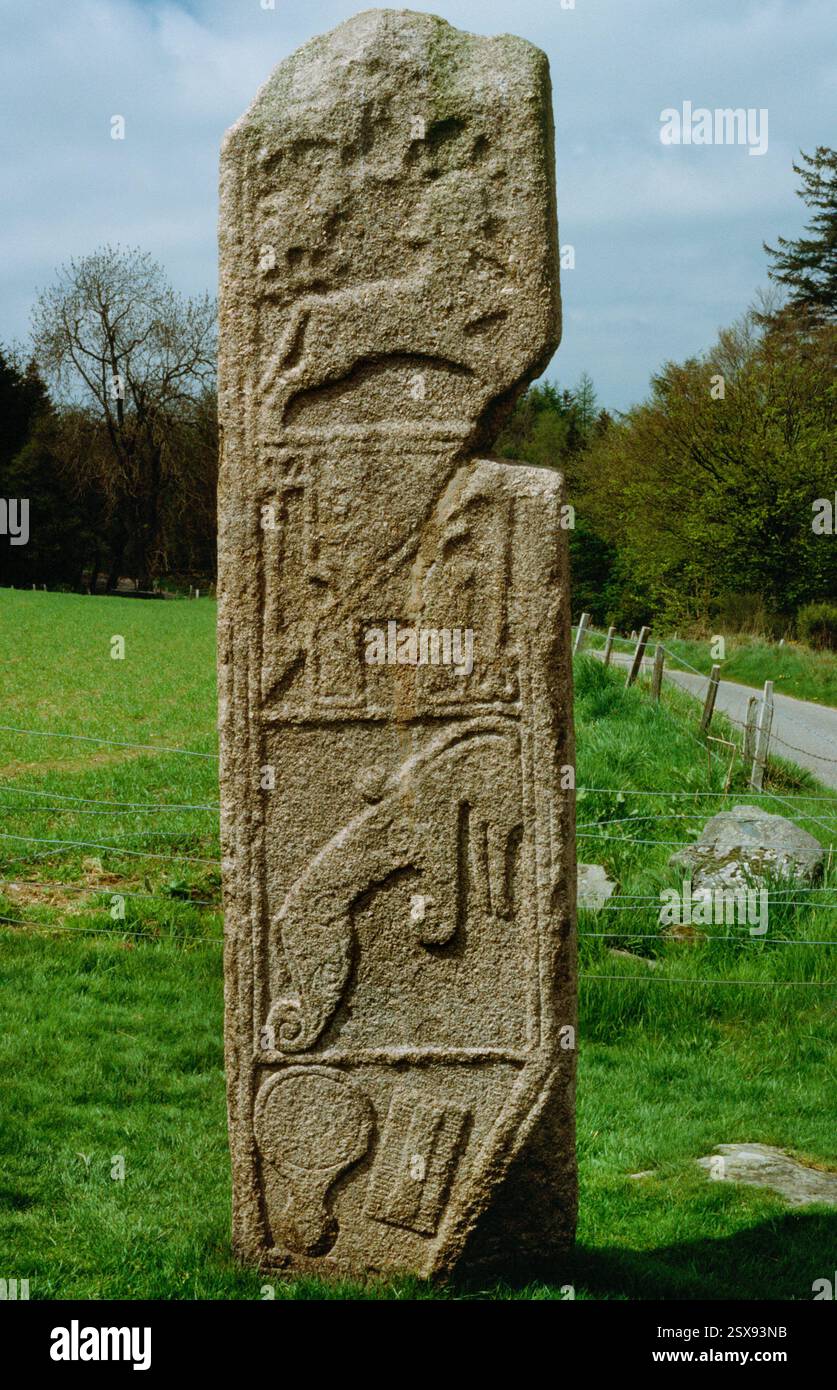 Four panels of Pictish symbols on the E face of the C9th Maiden Stone ...