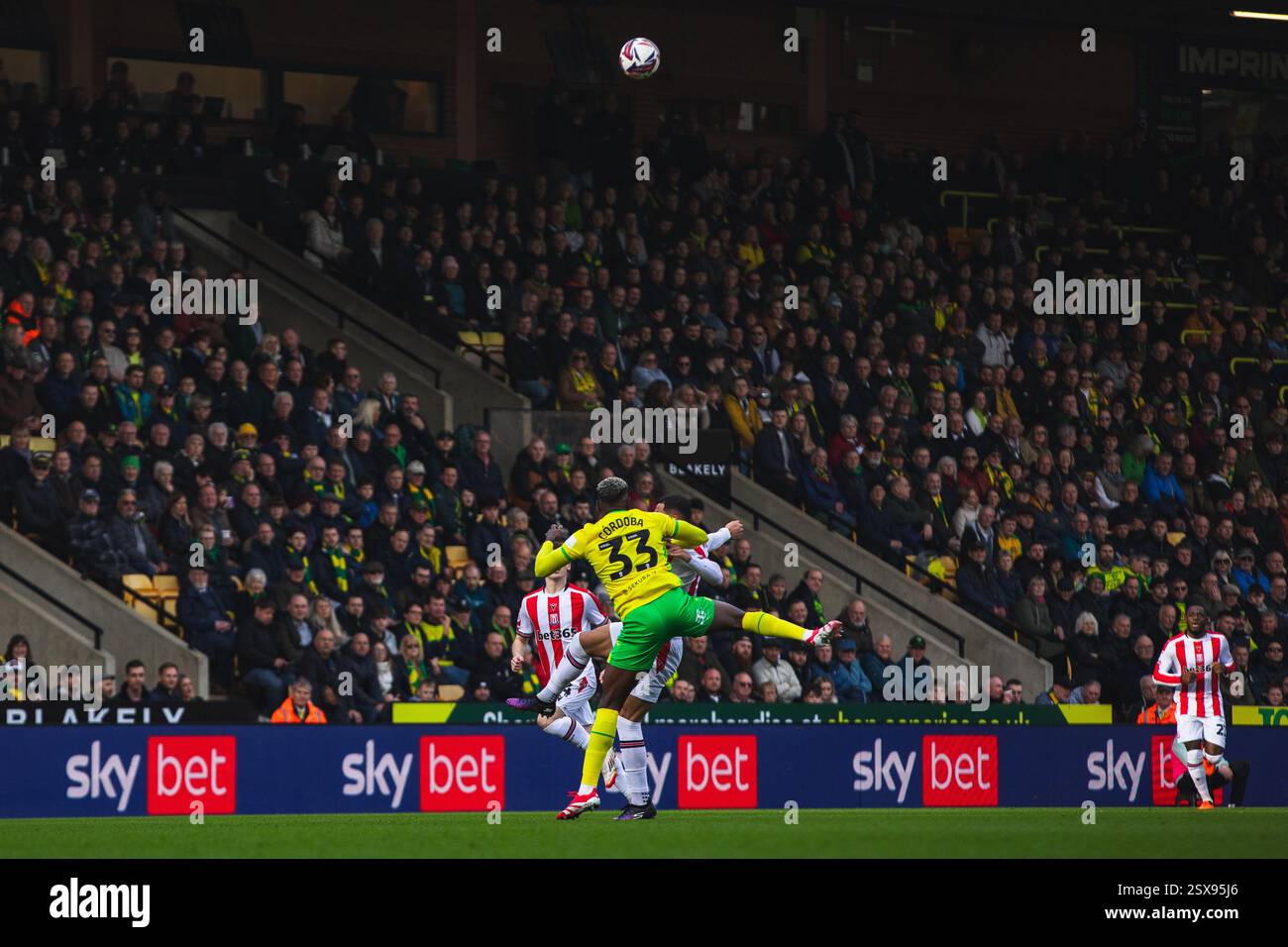 Norwich, UK. 31st Jan, 2025. José Córdoba of Norwich City during the ...