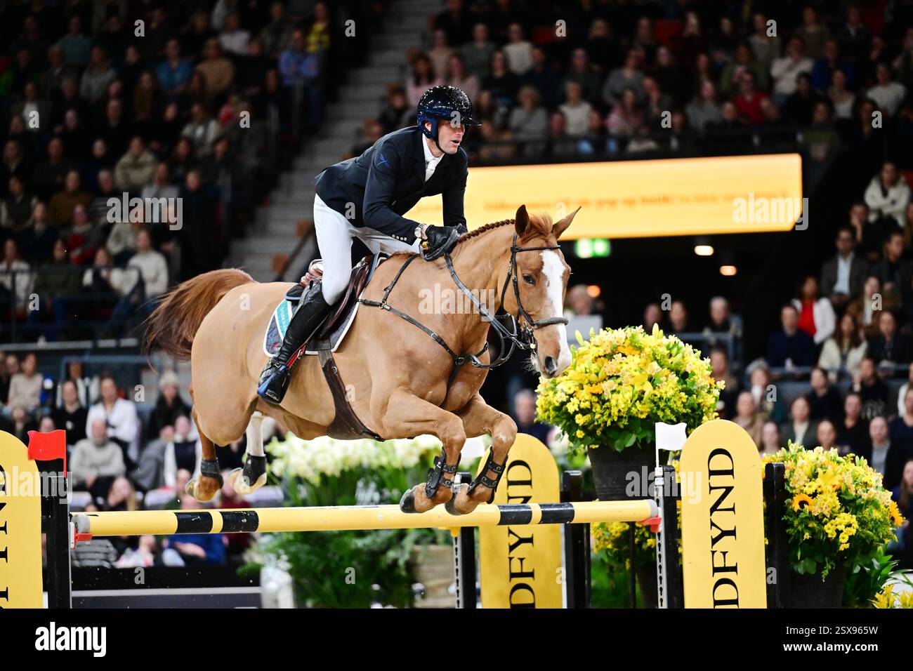 France's Kevin Staut on the horse Queen's Balou B during the World Cup ...