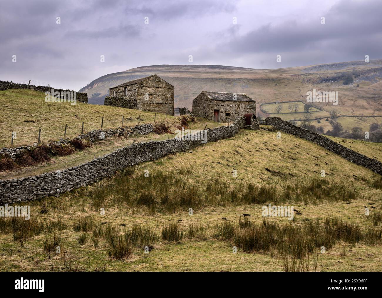 Swaledale near the village of Muker, with traditional Yorkshire Dales ...