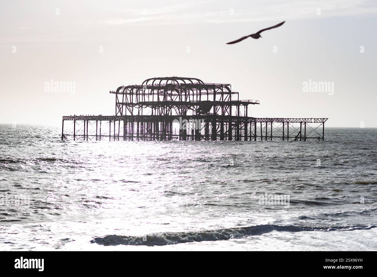 Seagull flying in pier hi-res stock photography and images - Alamy