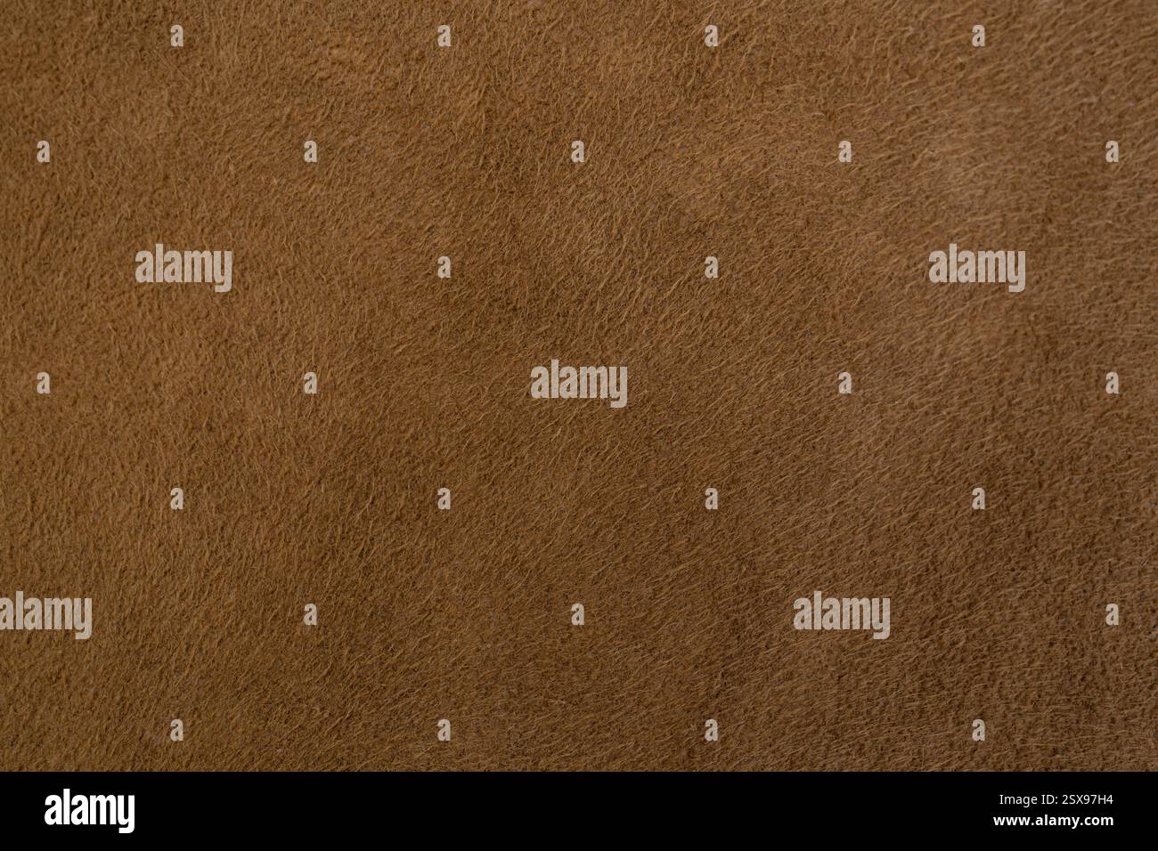 Genuine leather suede skin, textured surface, brown close up parchment ...
