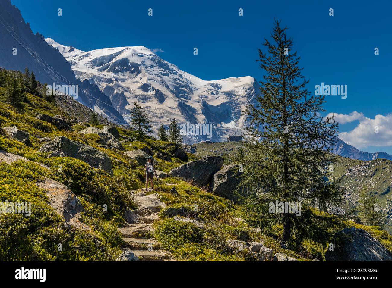 Hikers with backpack doing the Tour du Mont Blanc hike in summer Alps ...
