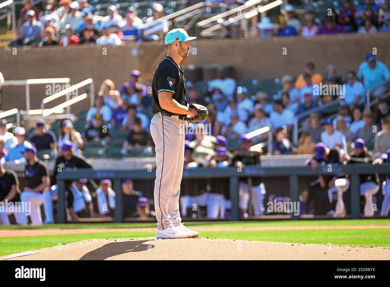 Scottsdale, Arizona, USA. 22nd Feb 2025. Arizona Diamondbacks pitcher ...
