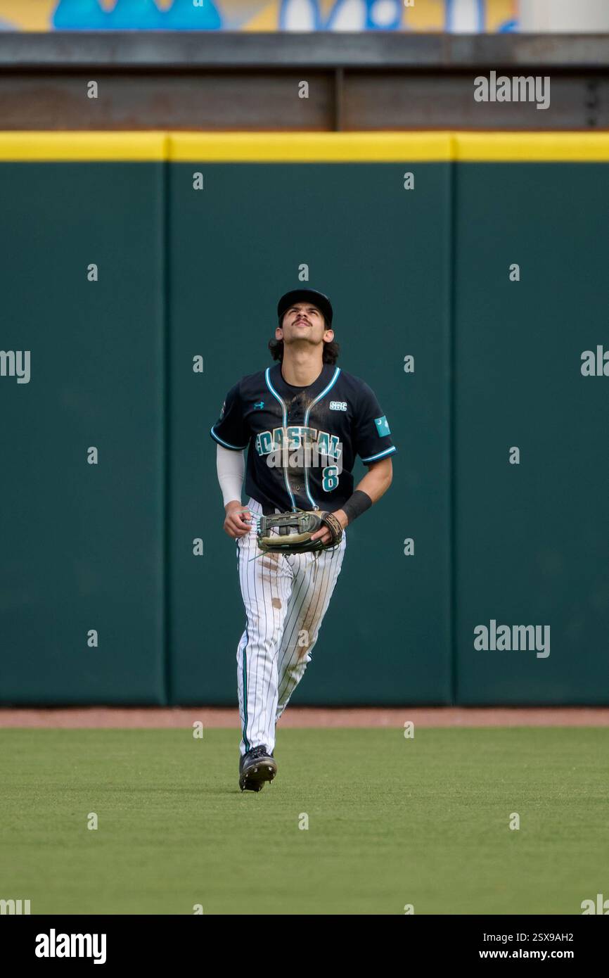 Coastal Carolina Chanticleers outfielder Dean Mihos (8) gets under a ...