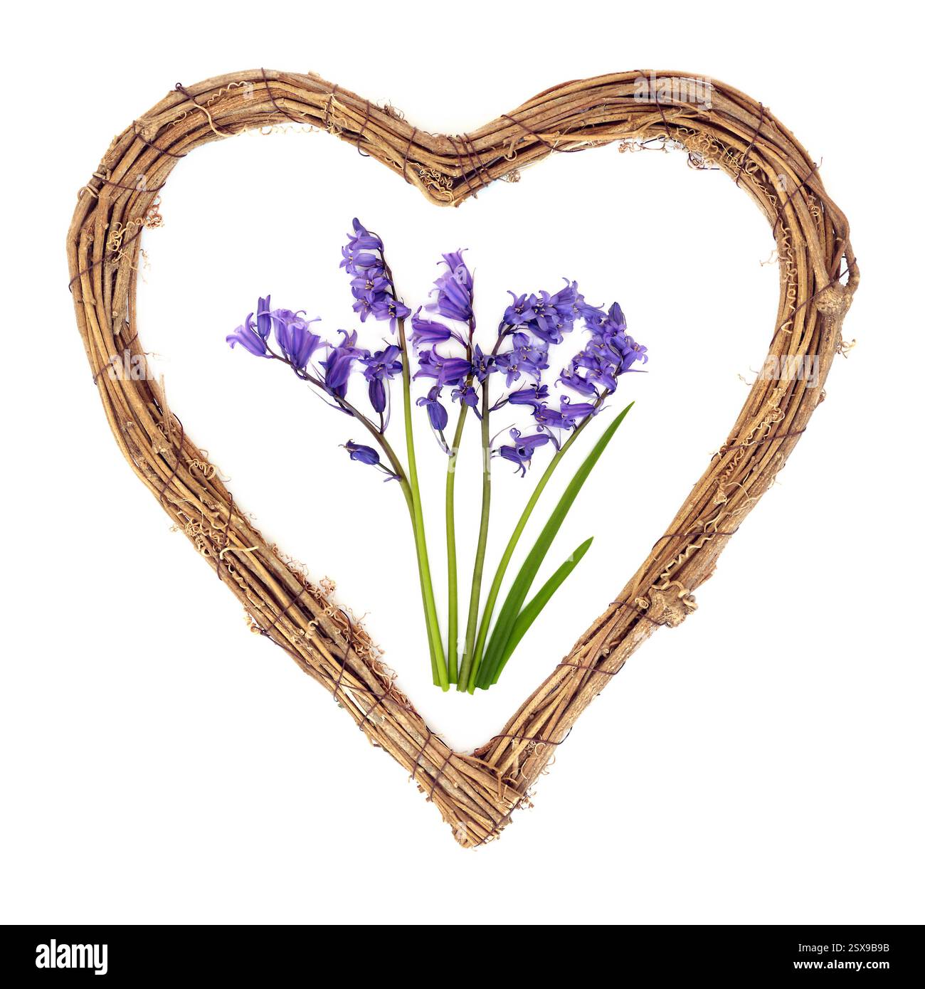 Bluebell flower arrangement with heart wreath on white. Floral nature ...