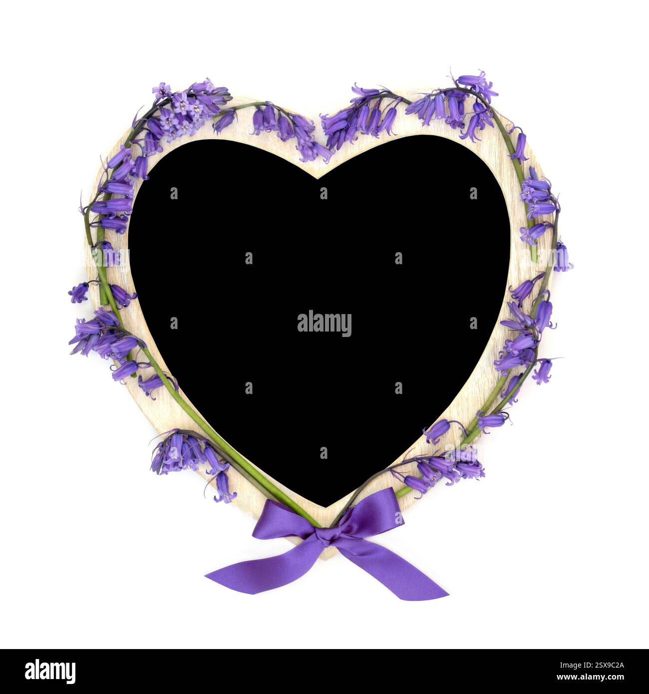 Bluebell woodland flower Spring heart frame on white with purple bow ...