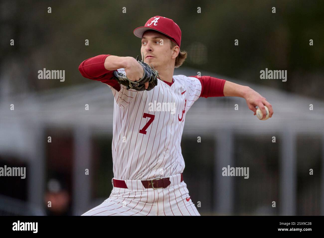Alabama Crimson Tide pitcher Matthew Heiberger (7) during an NCAA ...