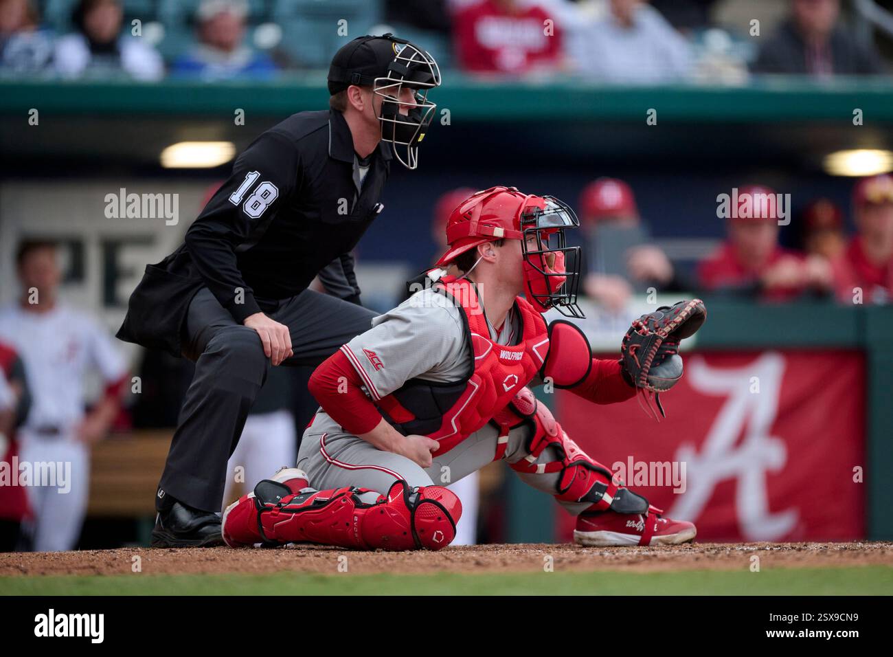 Umpire Brian deBrauwere and NC State Wolfpack catcher Drew Lanphere (15 ...
