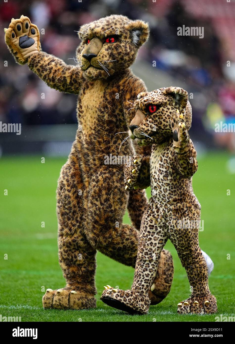 Leigh Leopards mascots ahead of the Betfred Super League match at the ...