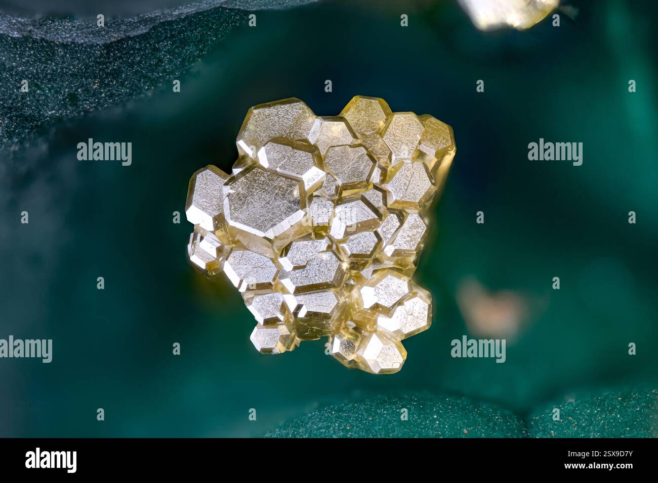 Yellow Mimetite on Malachite. Specimen from Mas Dieu, Laval-Pradel ...