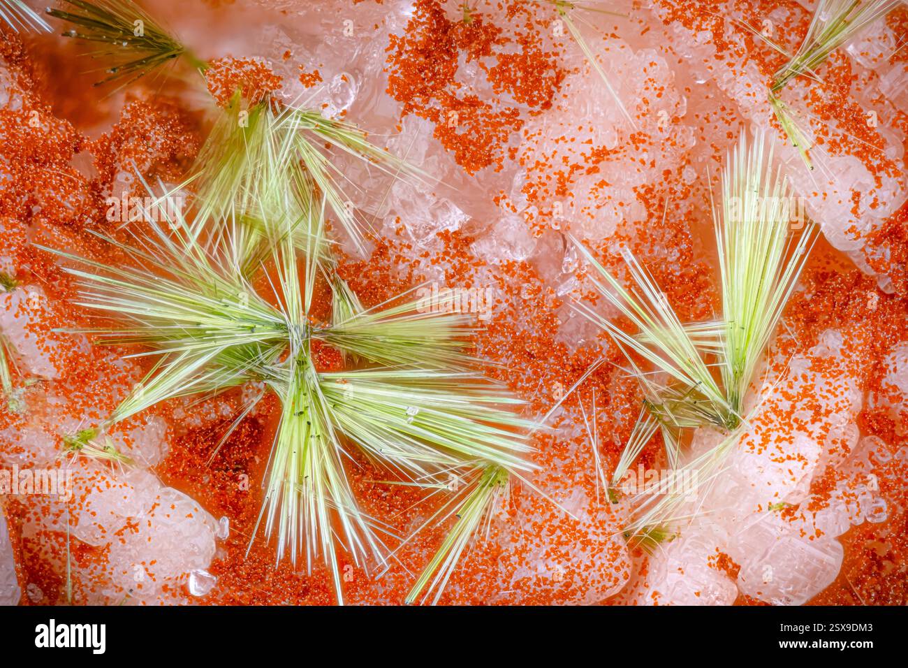 Green Agardite on unidentified red mineral. Specimen from Clara mine ...