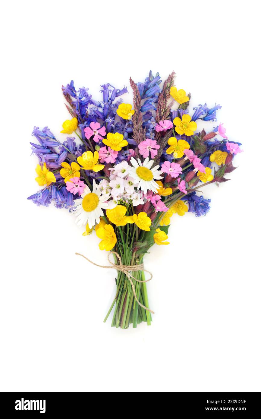 Spring wildflower bunch with bluebells, buttercups, red campion, meadow ...