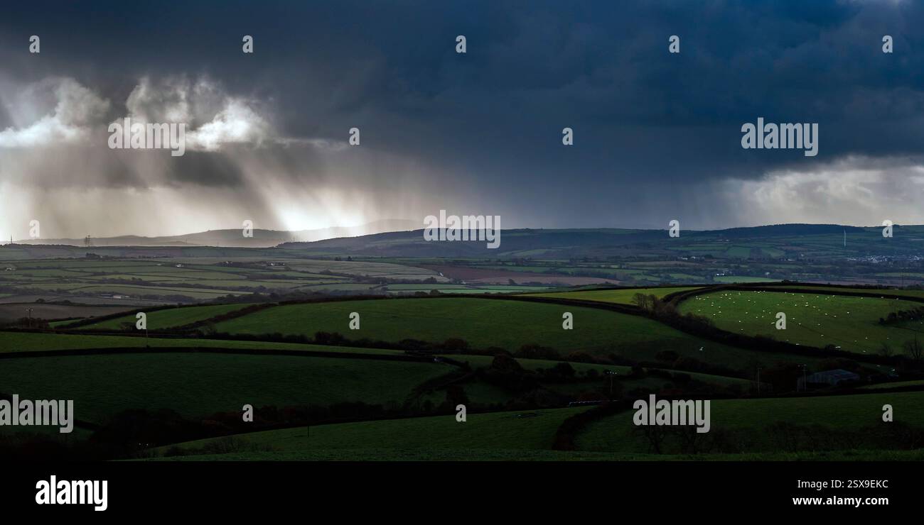 Rain cloud over Cornish countryside with flock of sheep grazing in ...