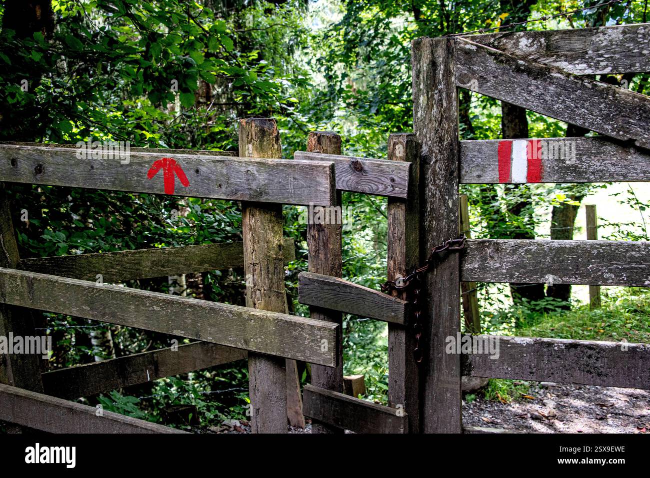 Weathered wooden gate with red and white trail markings leading into a ...