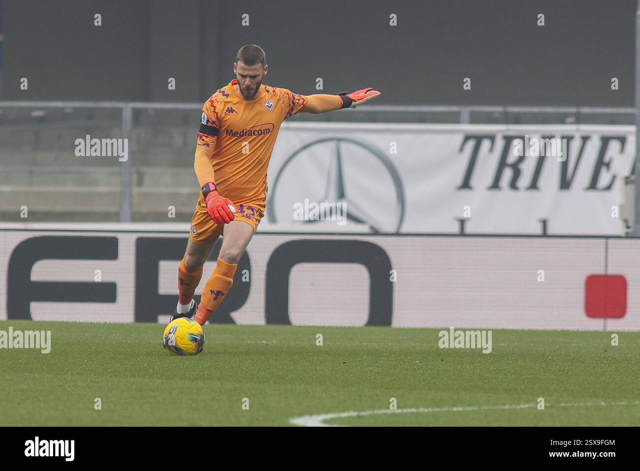 Verona, Italy. 23rd Feb, 2025. David De Gea Quintana of ACF Fiorentina ...