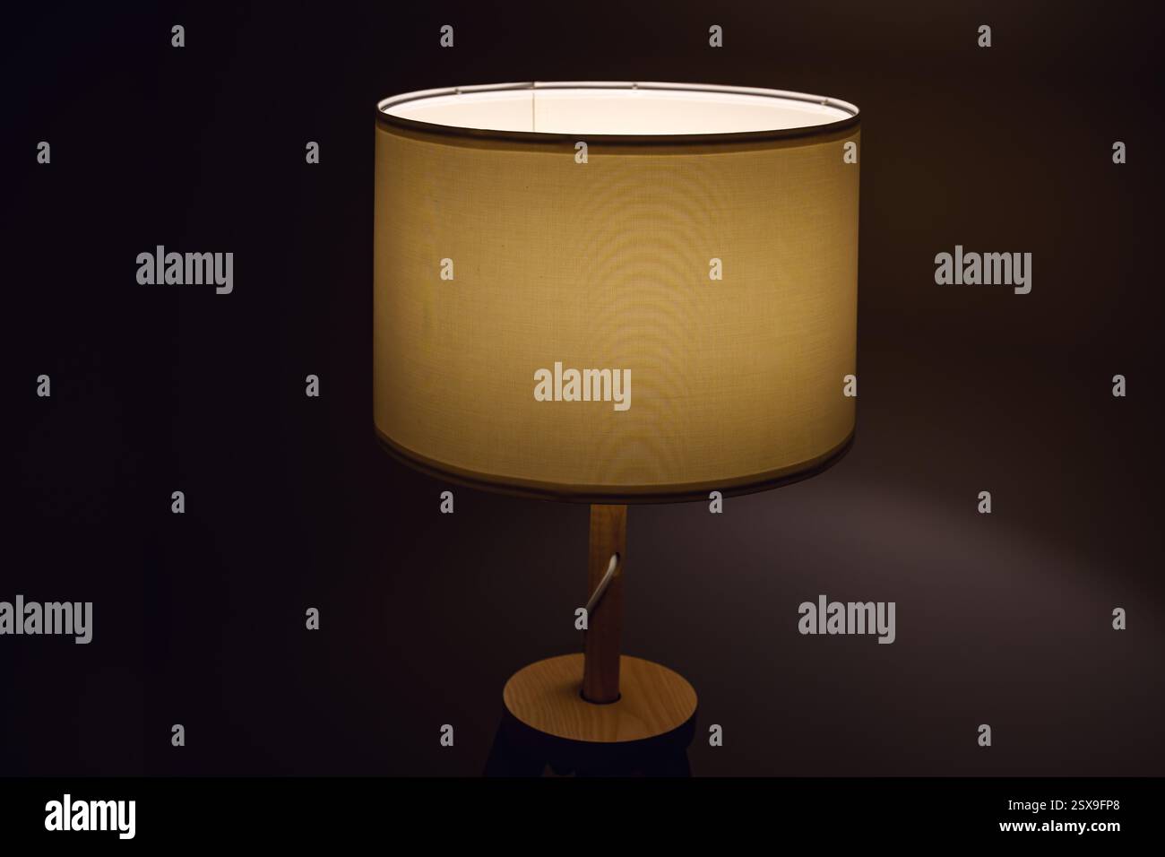 Floor standing lamp with shade casting soft light at dark room interior ...