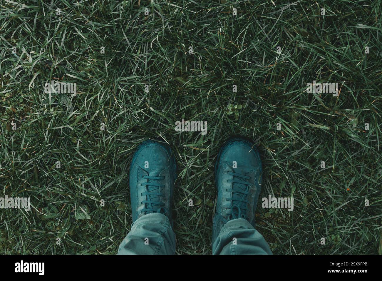 Feet and legs on grass outdoors hi-res stock photography and images - Alamy