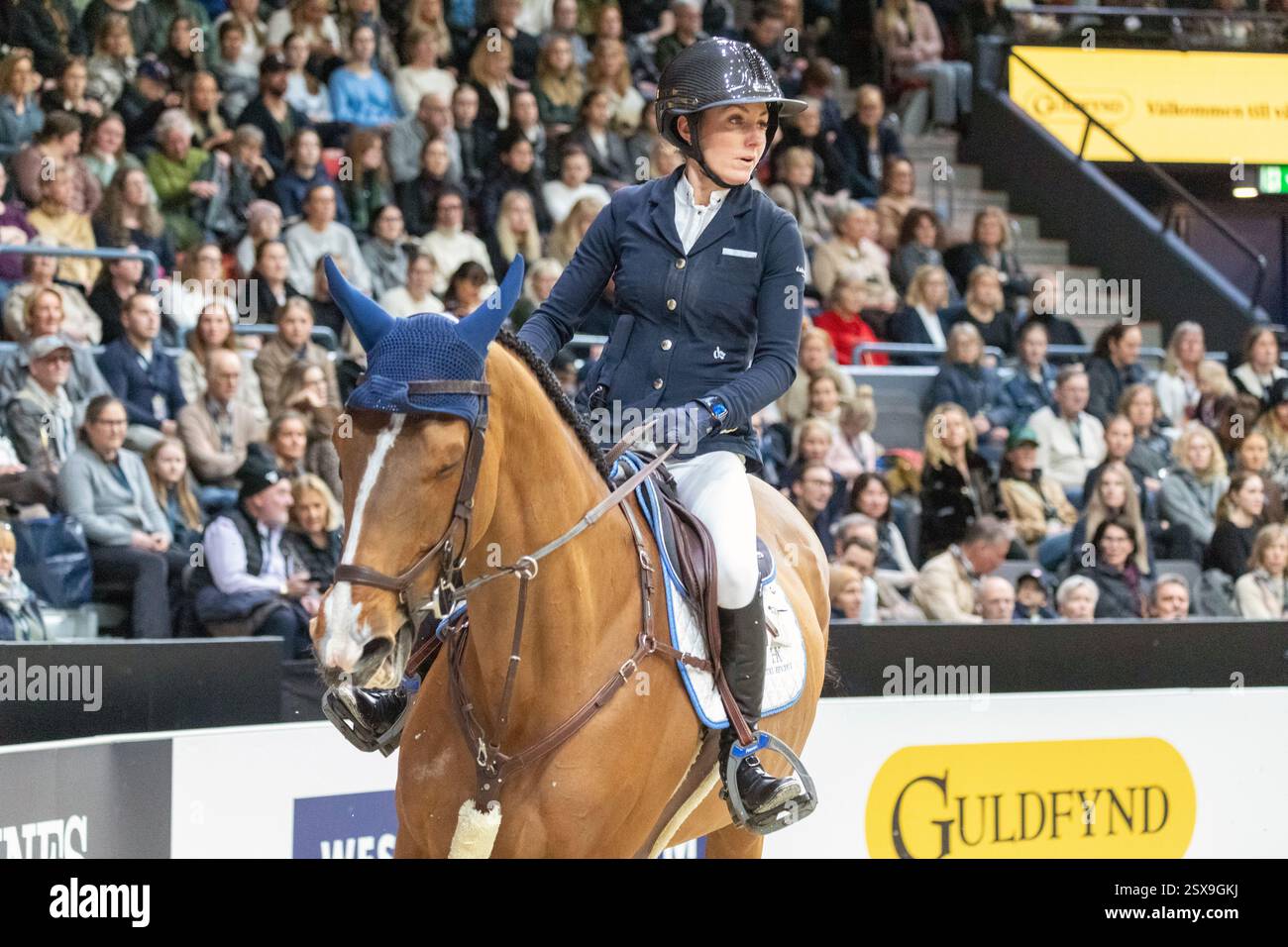Longines fei jumping world cup presented by guldfynd hi-res stock ...
