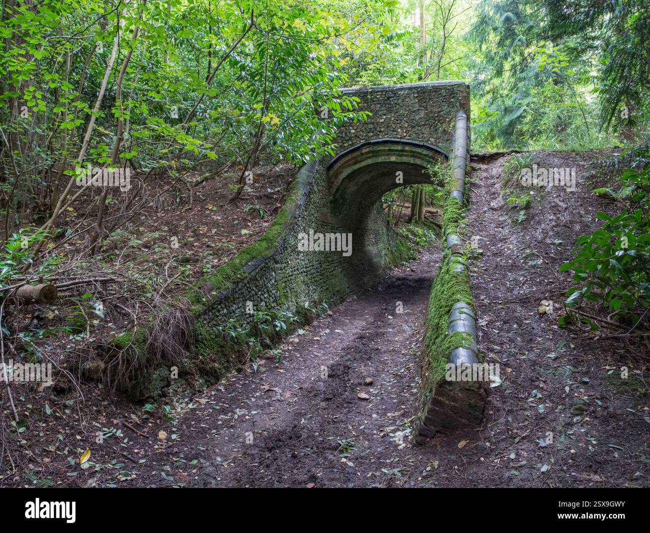 Raven Arch, one of the Lovelace Bridges built by William King, 1st Earl ...